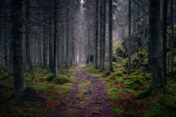 Garrison RE Fund Gets $60M Deutsche Loan | Institutional Investor